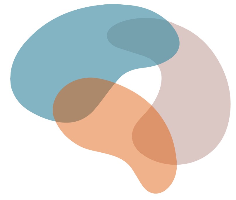 Welkom op de nieuwe NVvP-website | NVvP